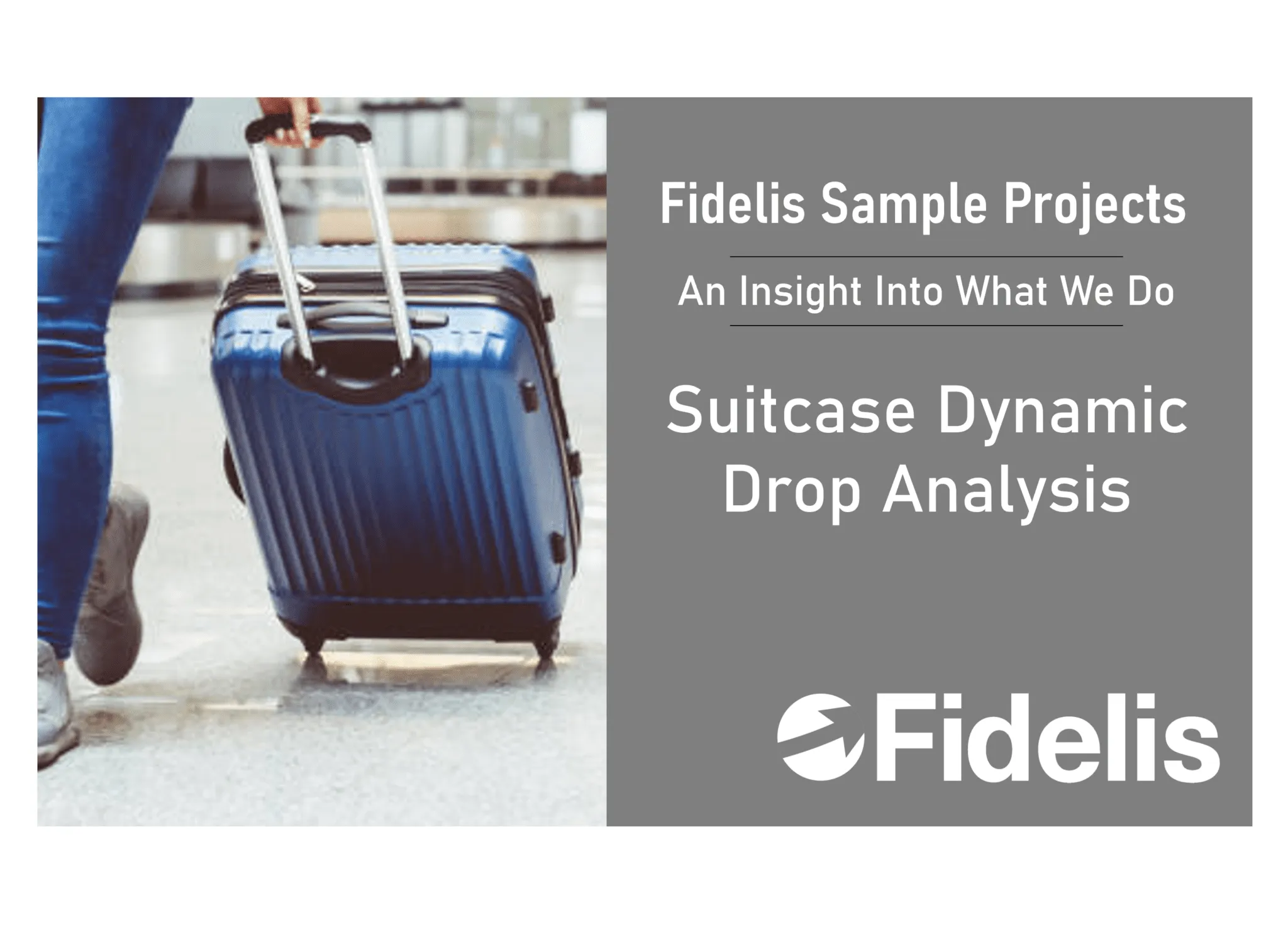 Fidelis Engineering Associates | CAE Services | Modsim Software